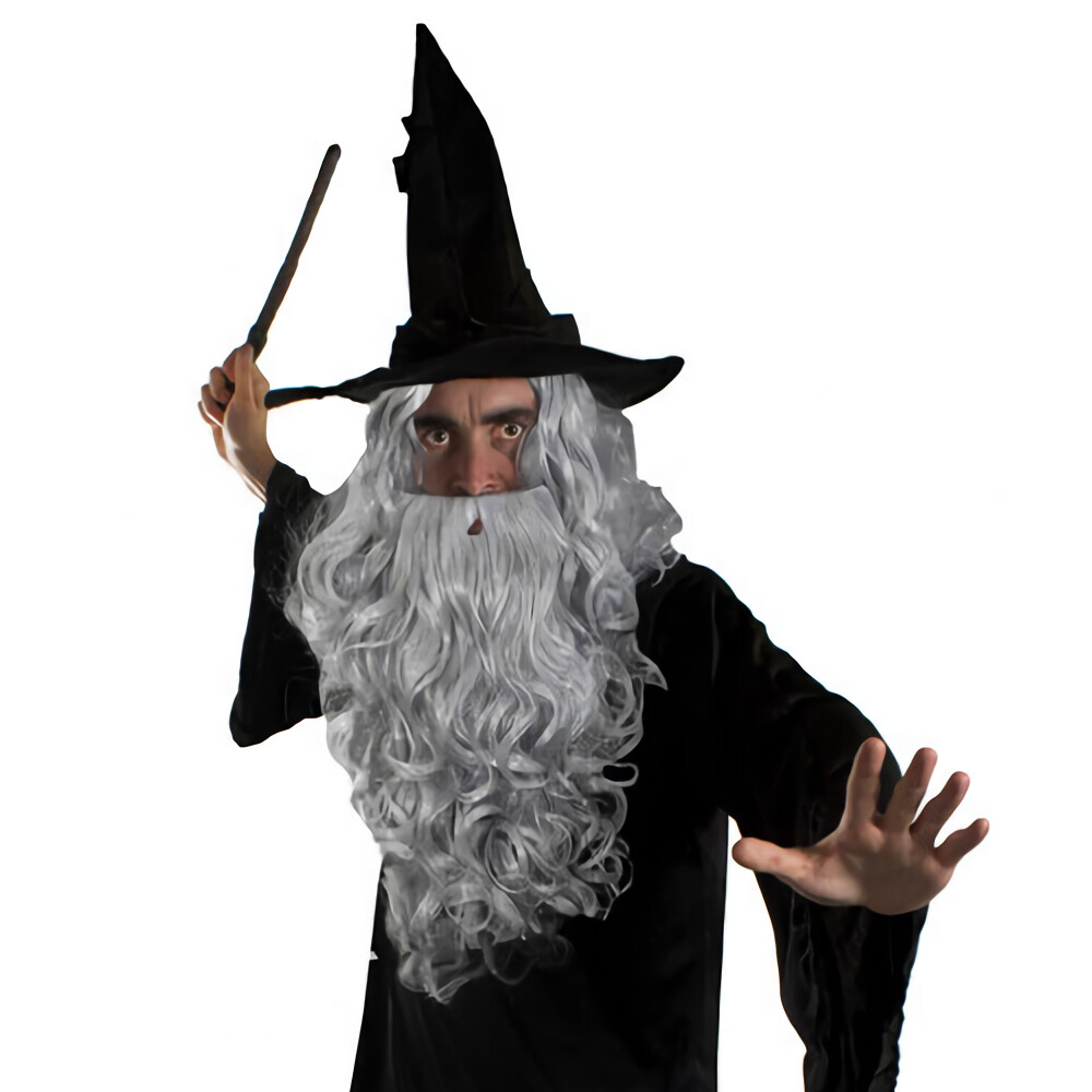 DARK WIZARD COSTUME MENS HALLOWEEN FANCY DRESS ROBE HAT WIG BEARD WAND ...