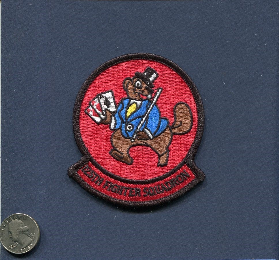 125th FS OK ANG USAF F-16 FALCON Red Squadron Patch | eBay