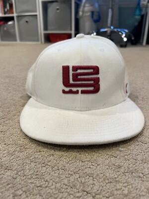 Lebron James Nike 643 fitted hat | eBay