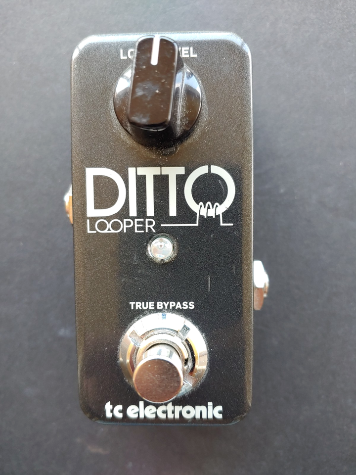 TC Electronic Ditto Looper Pedal ( MINT) | eBay