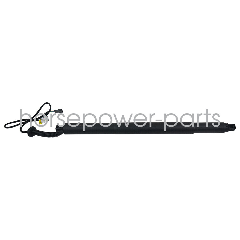 51247318651/51 24 7 318 651 Trunk Lid Pull Down Motor Left for BMW X6 ...