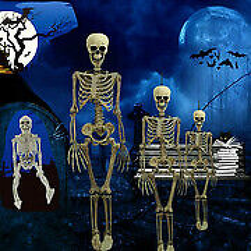 Oversized Poseable Full Life Size Human Skeleton Halloween Decoration ...