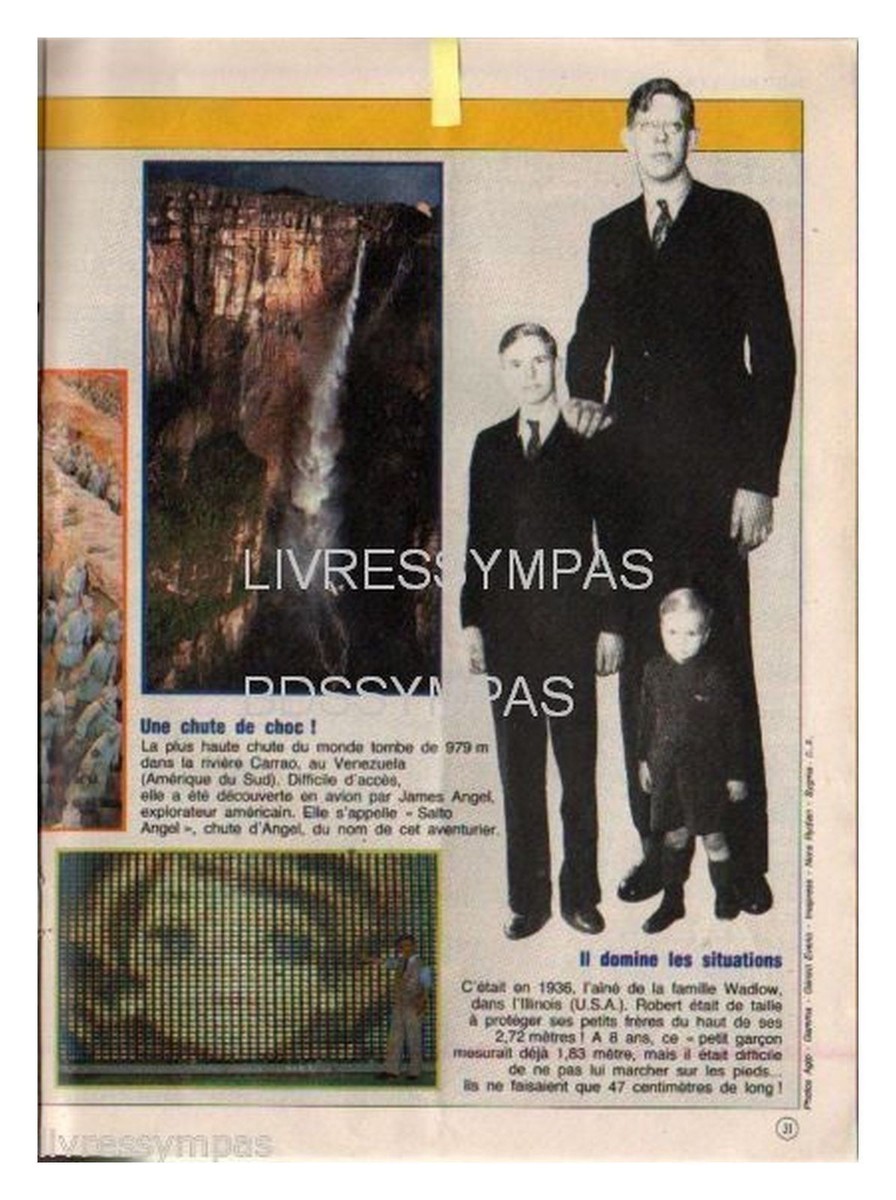 Tombe De Robert Wadlow The Tragic Death Of Robert Wadlow, The Tallest