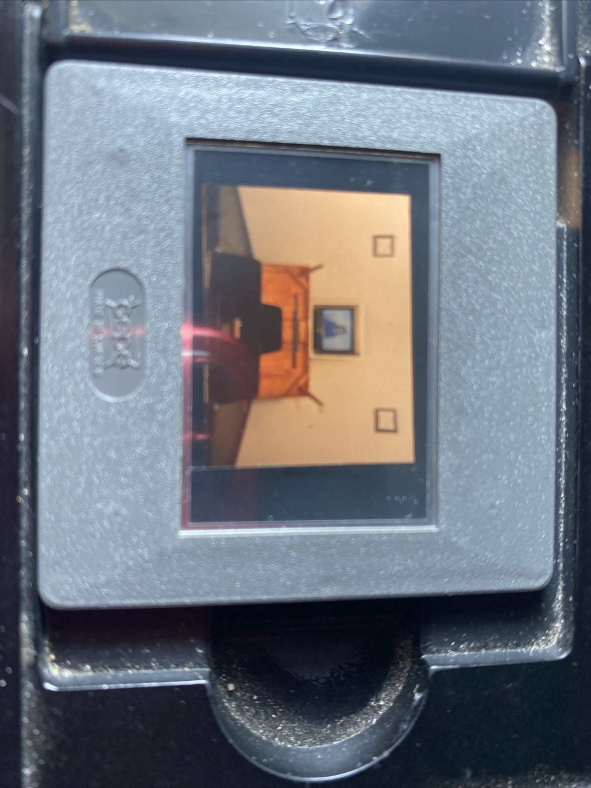 Adrian Piper “Cornered” Conceptual Art 35mm Slide | eBay