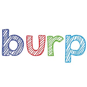 burp-online | eBay Stores