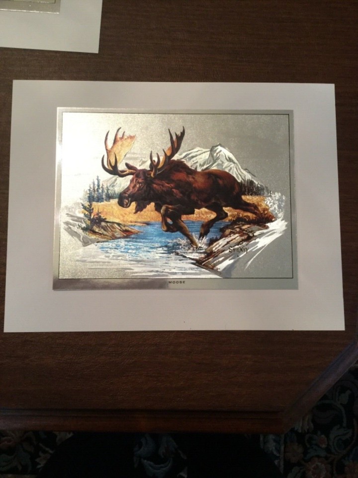 Vintage Sportsman's Portfolio The Trophy Room Fred Sweney 4 Color-Etch ...