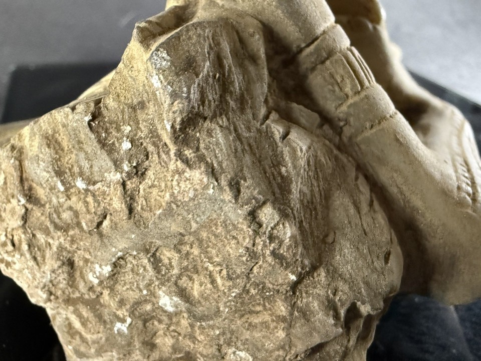 ANCIENT EGYPTIAN STONE STATUE FRAGMENT OF THE GOD OF AFTERLIFE ANUBIS ...