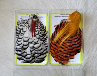Lady Amherst & Golden Pheasant Cape Feather Combo. Grade "A" Free ...