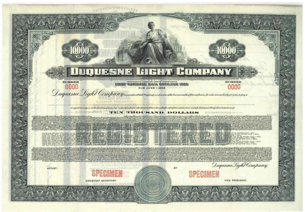 Duquesne Light Bill Payment Online | Shelly Lighting