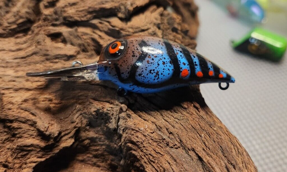 custom painted Wiggle wart crankbait( MISSOURI CRAW) | eBay
