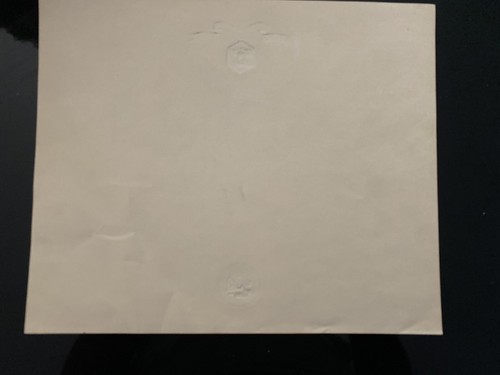 AIRBORNE 555 TRIPLE NICKELS 555th Parachute Infantry Award LC James H ...