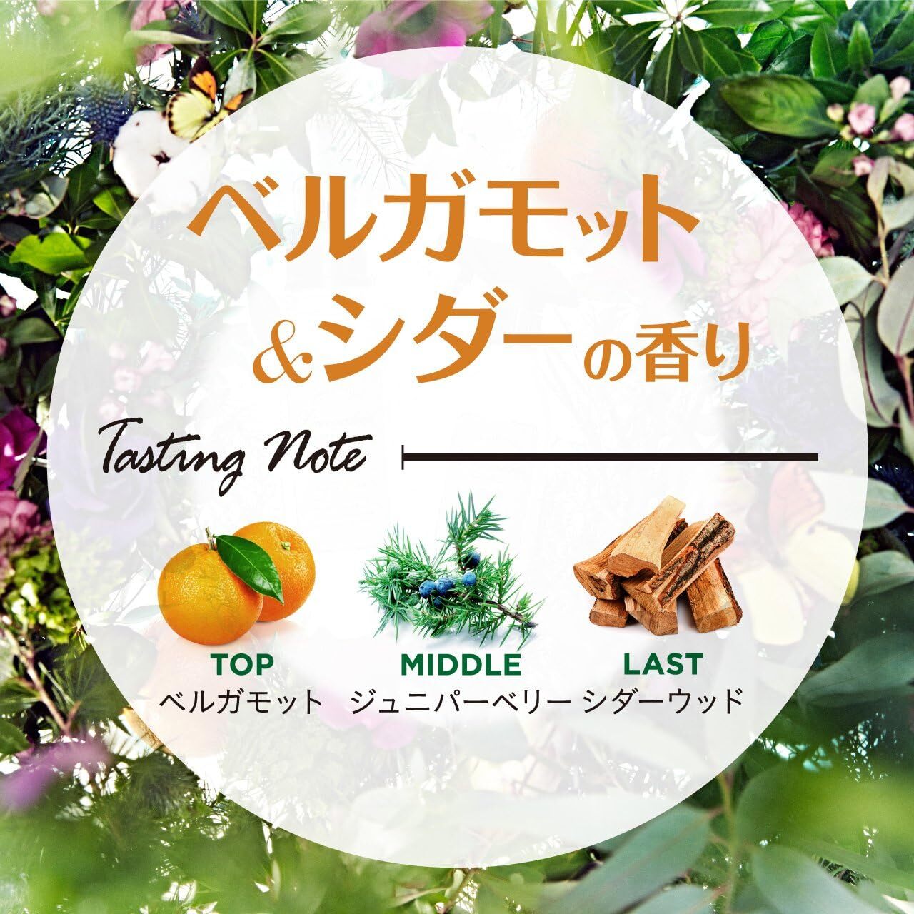 Randolin Botanical Fabric Softener Oversized capacity Bergamot & Cedar ...