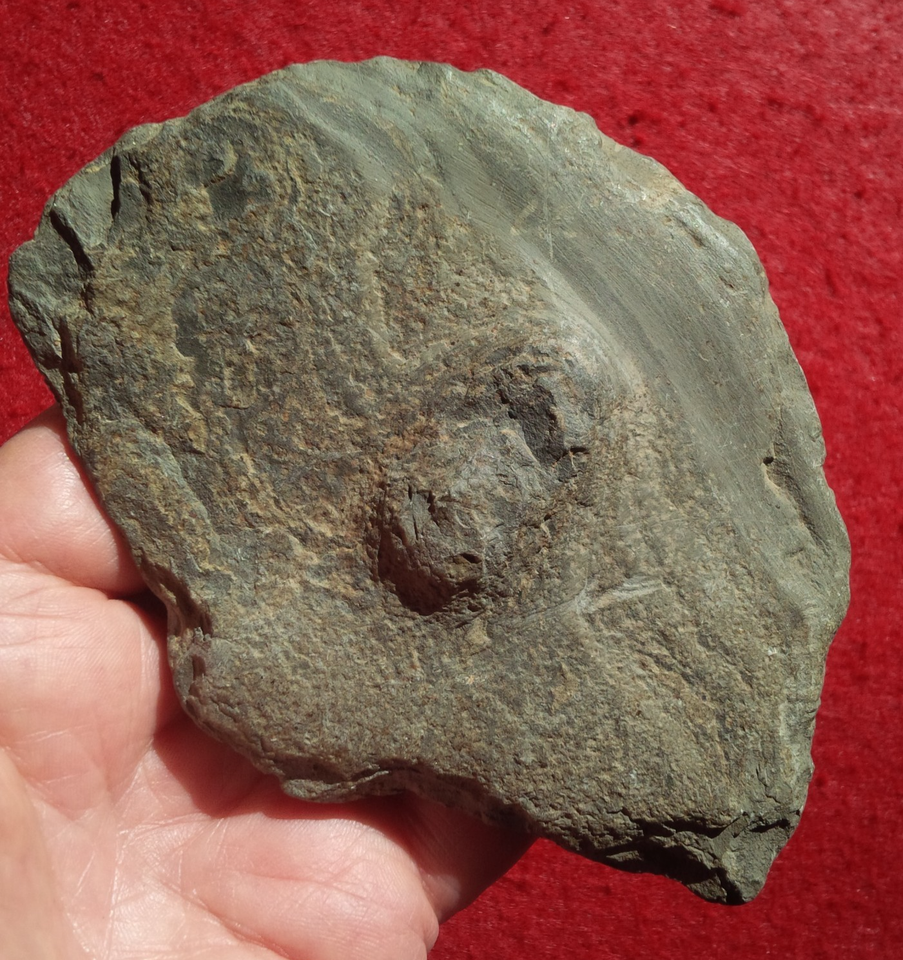 5-1/4" SLATE BANNERSTONE PREFORM OHIO ARROWHEADS AUTHENTIC BANNERSTONE ...