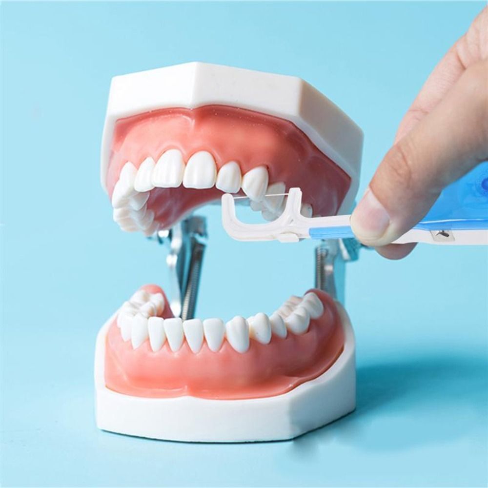 Portable Dental Floss Holder Oral Care Tooth Cleaner Flossers Tooth ...