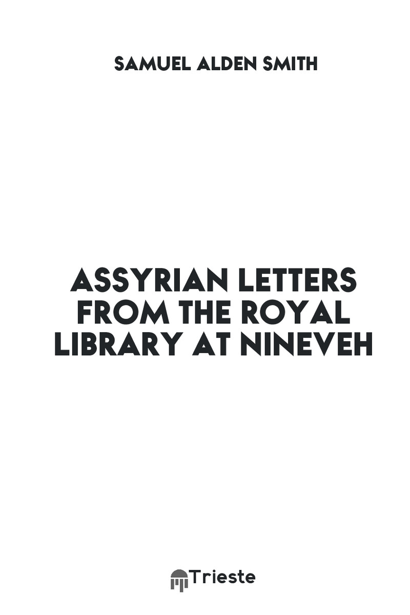 Assyrian Library At Nineveh