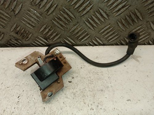 Briggs & Stratton Max 110788 / 0229 4Hp - Bobine d'allumage ref 398593 ...