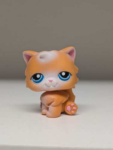 LPS Littlest Pet Shop #153 Orange Persian Cat Blue Eyes Hasbro ...