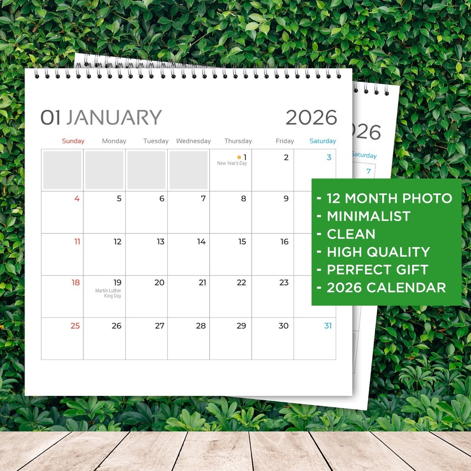 Sheryl Crow 2026 Wall Calendar 12-Month Celebrity Photo Calendar | eBay