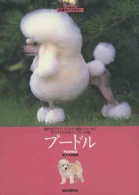 Animal Husbandry Poodle Book Explains Everything About Poodles Japanese ...