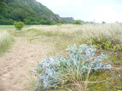 Photo 6x4 Coastal Path, Nicholaston Burrows Clear and wide sandy path ...