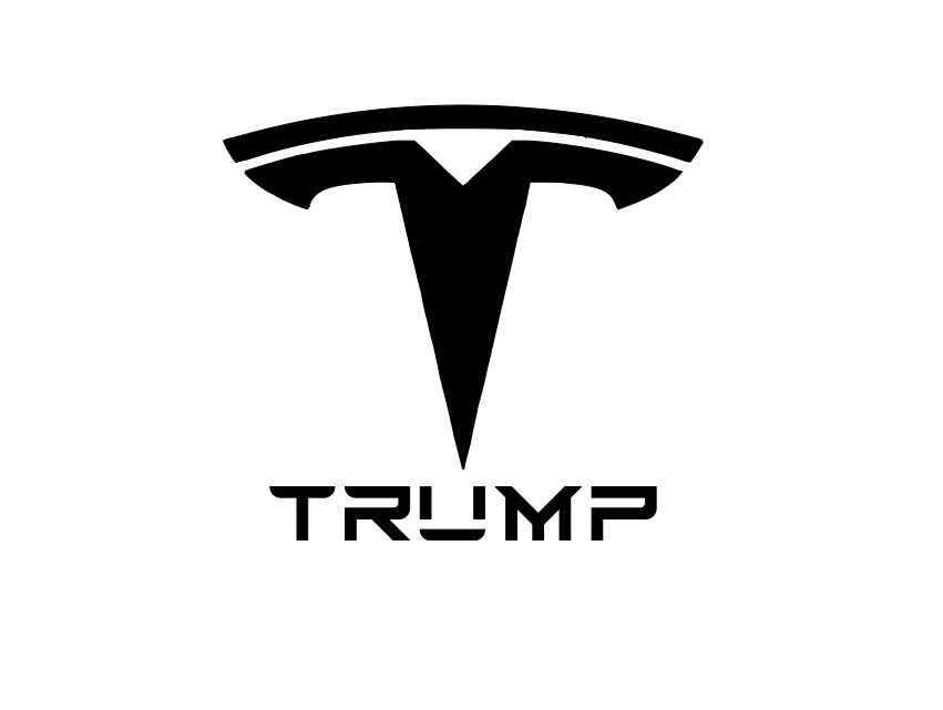 Set of 2 Tesla x Trump Sticker, Elon Musk Donald Trump Collab Vinyl ...