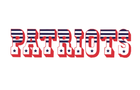 NEW ENGLAND PATRIOTS *2X3 FRIDGE MAGNET* NFL FOOTBALL TOUCHDOWN ...