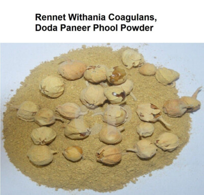 Rennet Withania Coagulans Doda Paneer Phool Powder Paneer Booti 250gm ...