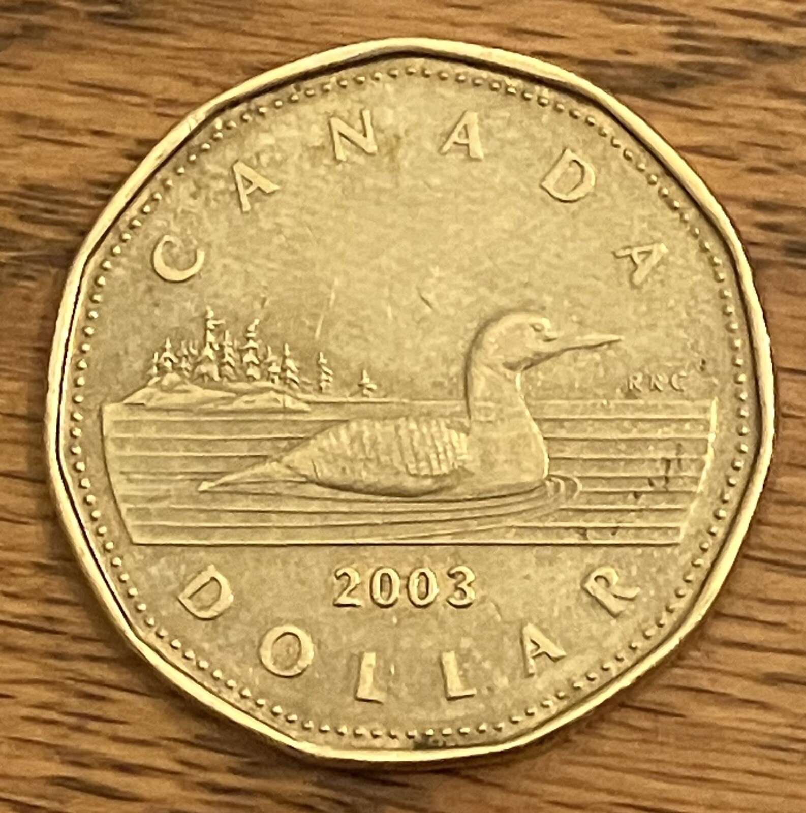 2003 NEW EFFIGY Canada one dollar $1 loonie coin **75% off combined ...