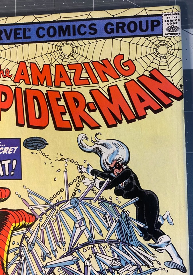 Amazing Spider-Man #205 - Starring The Black Cat! -MARVEL - 7.0 | eBay