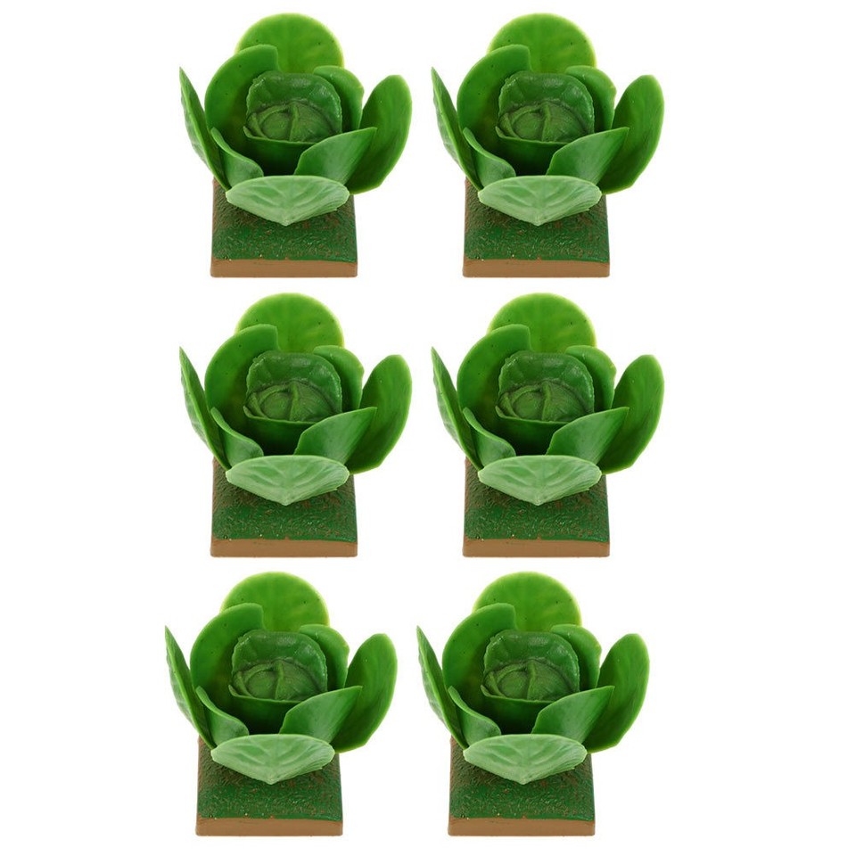6Pcs Plastic Crafts Cabbage Modeling Toys Simulation Cabbage Children ...