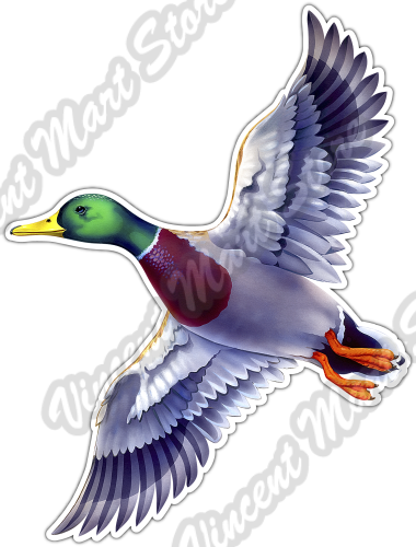Flying Mallard Hunting Hunter Duck Bird Fly Car Bumper Vinyl Sticker ...