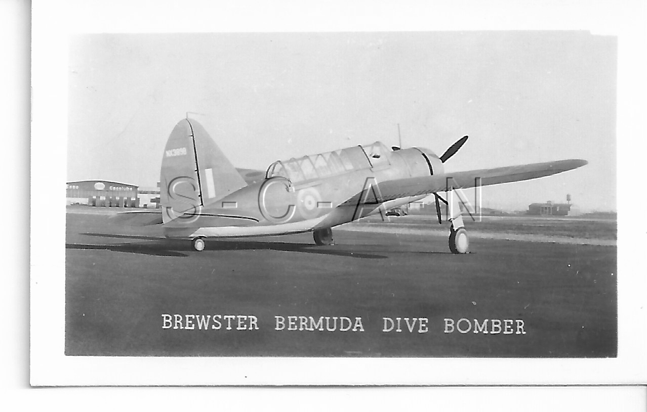 WWII US Navy RP- British- UK Airplane- Brewster Bermuda Dive Bomber ...