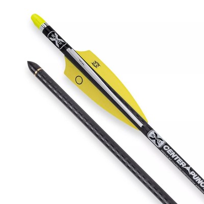 Ten Point EVO-X Center Punch 20" Carbon Crossbow Arrow w/ Alpha Nocks ...