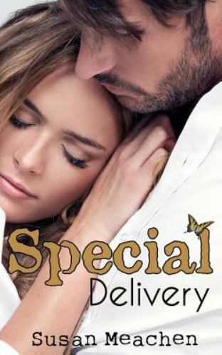 Special Delivery by Susan Meachen (2017, Trade Paperback, Large Type ...