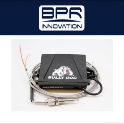 BULLY DOG Sensor Docking Station with Pyrometer Probe - 40384 | eBay