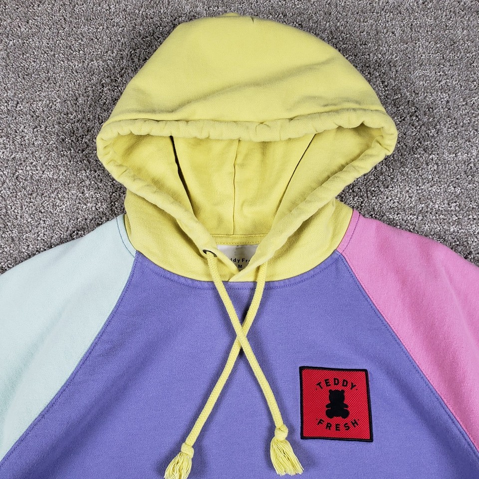 TEDDY FRESH Sweatshirt Mens Medium Color Block Hoodie 2.0 Pullover | eBay