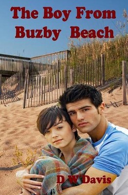 The Boy From Buzby Beach: A Buzby Beach Novel by D.W. Davis (English ...