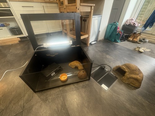 Leopard Gecko Cage Reptile Tank Terrarium Paid 300 Pound For It Selling ...