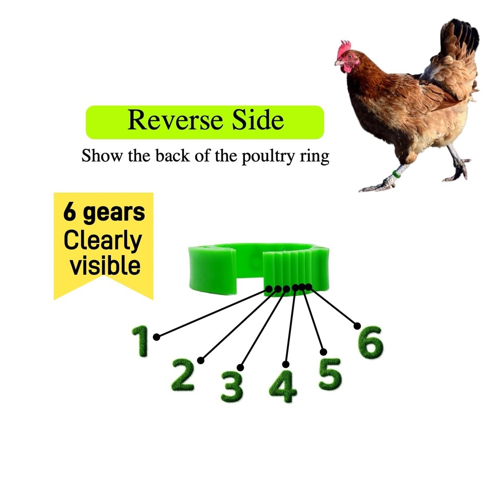 17Mm-22Mm 100 Pcs Chicken Tags for Legs,5 Colors,Laser Engraved ...