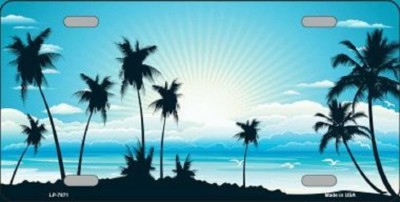 BLUE SKY SUNSET METAL NOVELTY LICENSE PLATE TAG | eBay