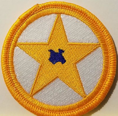 TEXAS STATE STAR Iron-On Patch Emblem Gold Border Version I | eBay