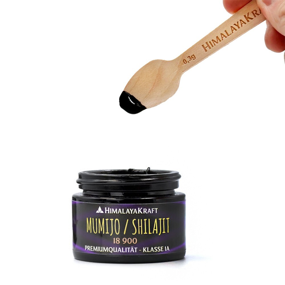 MUMIJO SHILAJIT 100% rein & original Ayurveda, patentiert, 81g ...