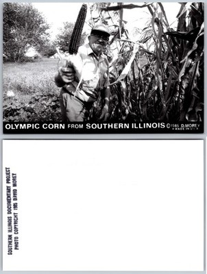 Olympic Corn Southern Illinois Postcard | eBay