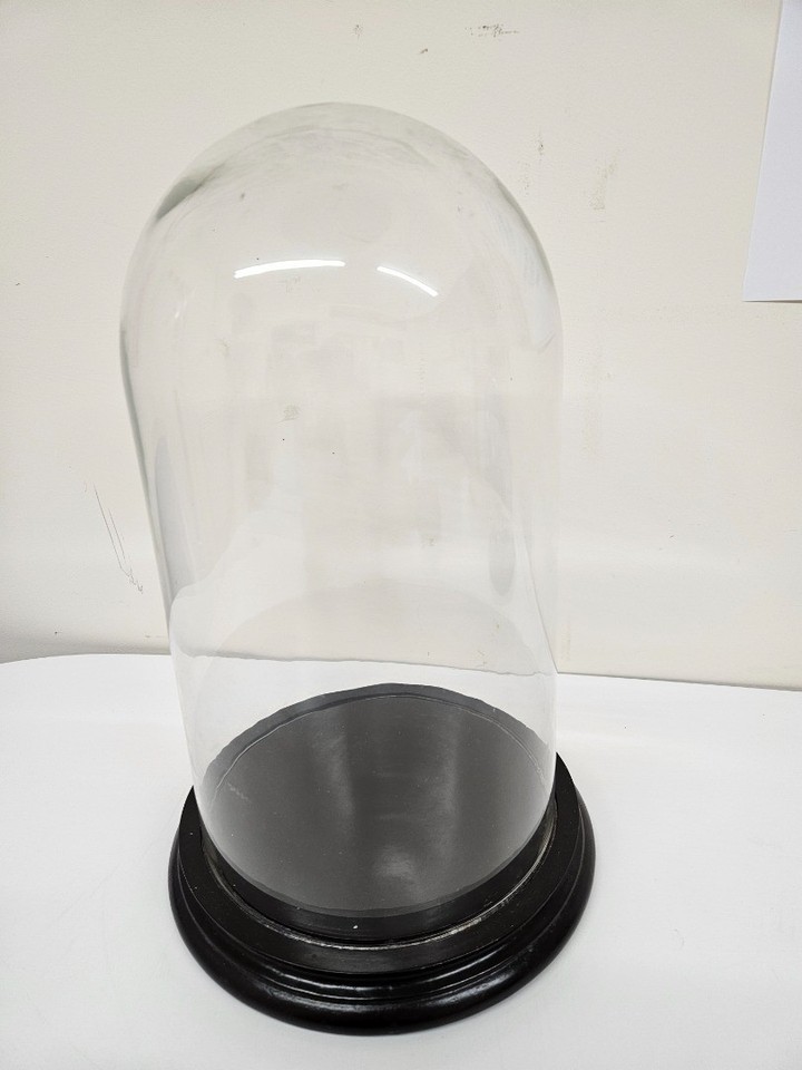 large glass display dome - CS SA7 | eBay UK