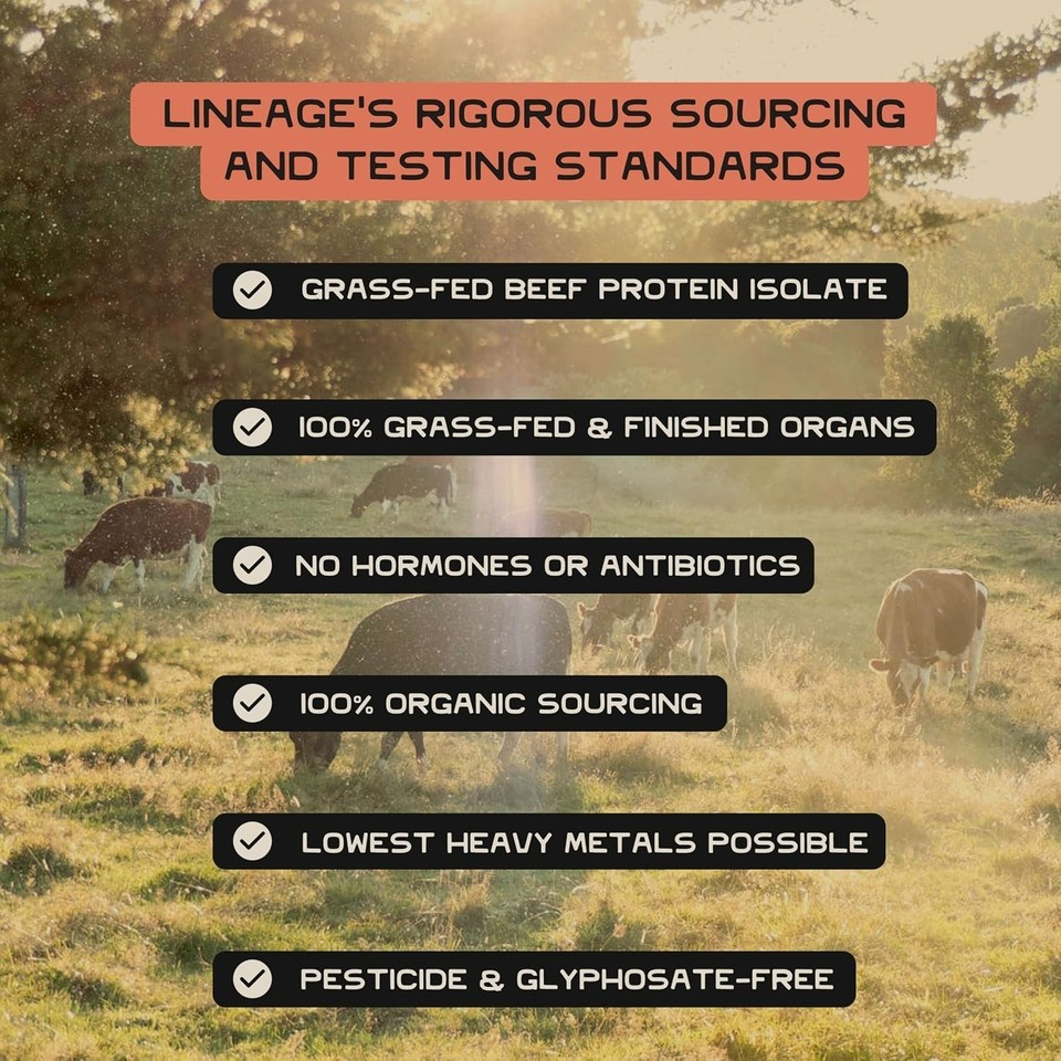 Lineage Provisions Micronized Creatine Monohydrate with Sea Salt – 90 ...