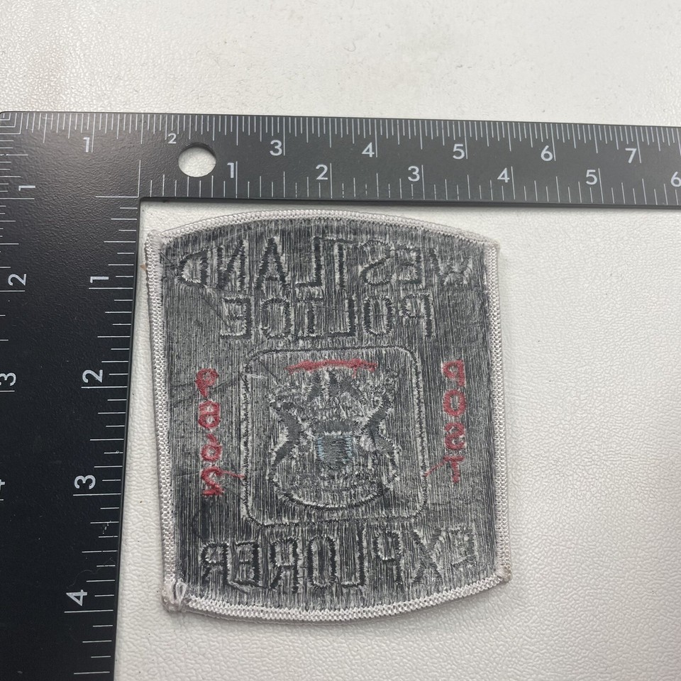 WESTLAND POLICE EXPLORER POST 9862 Patch (Thought To Be Michigan) 23J5 ...