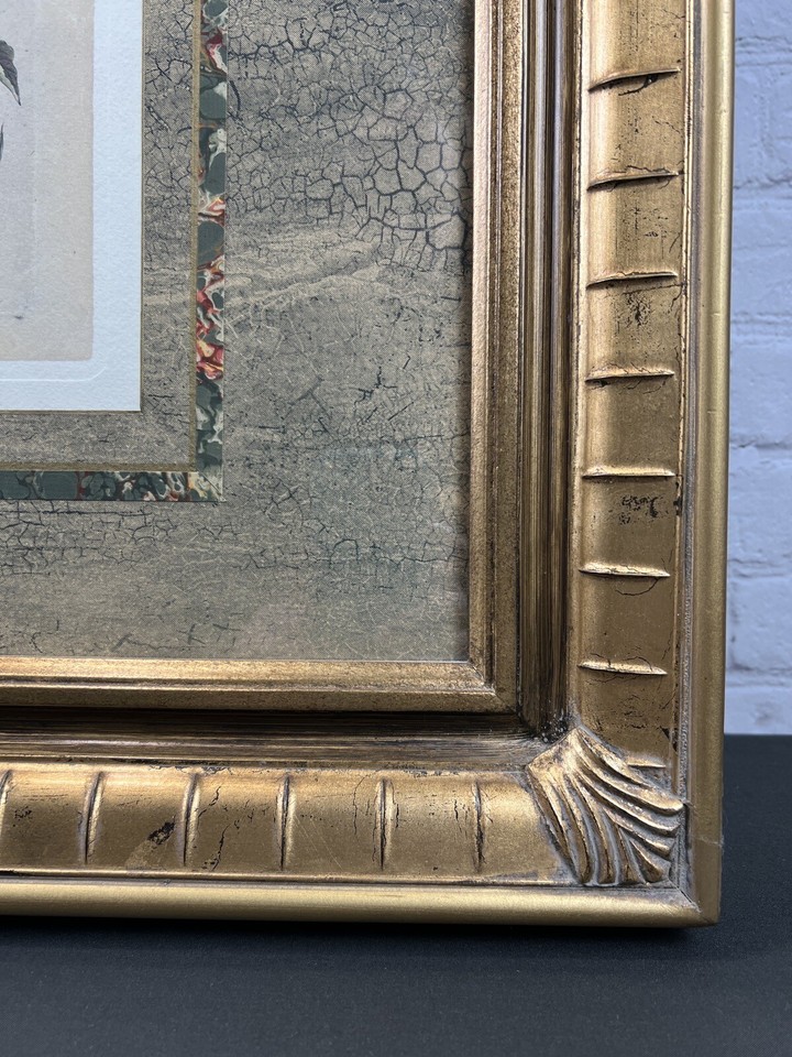 Paragon Picture Gallery Arts Award Winner Botanical John Hill Gold ...