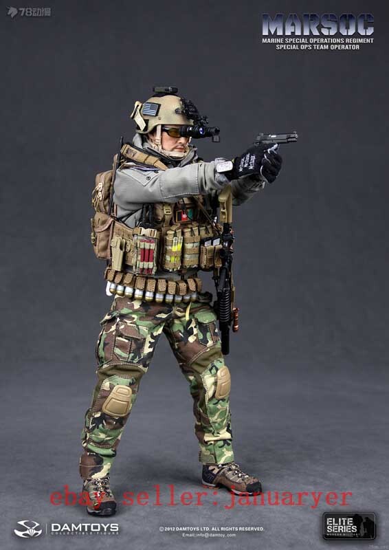 Perfect Damtoys 78007 1/6 Marsoc Special Ops Team Operator Action ...