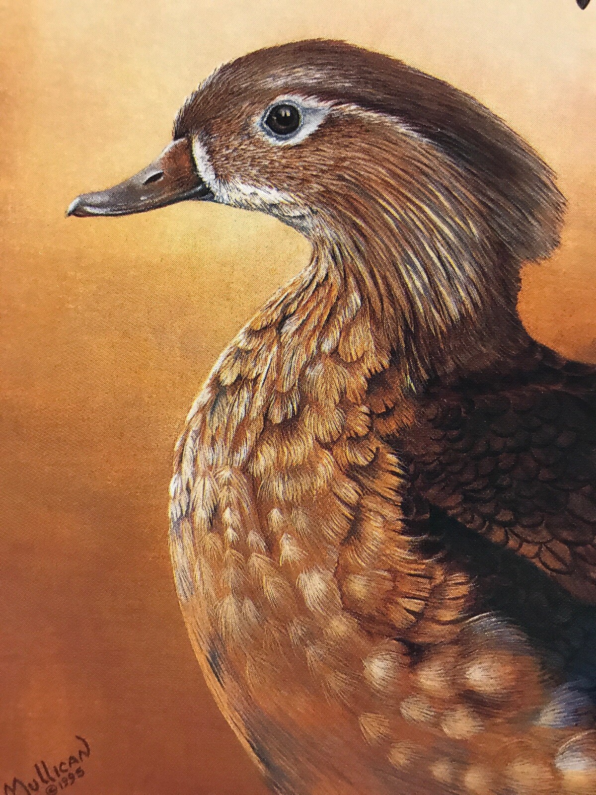 John Mullican Signed & Numbered Ltd Ed Print "Potomac Woodies" 1995 ...