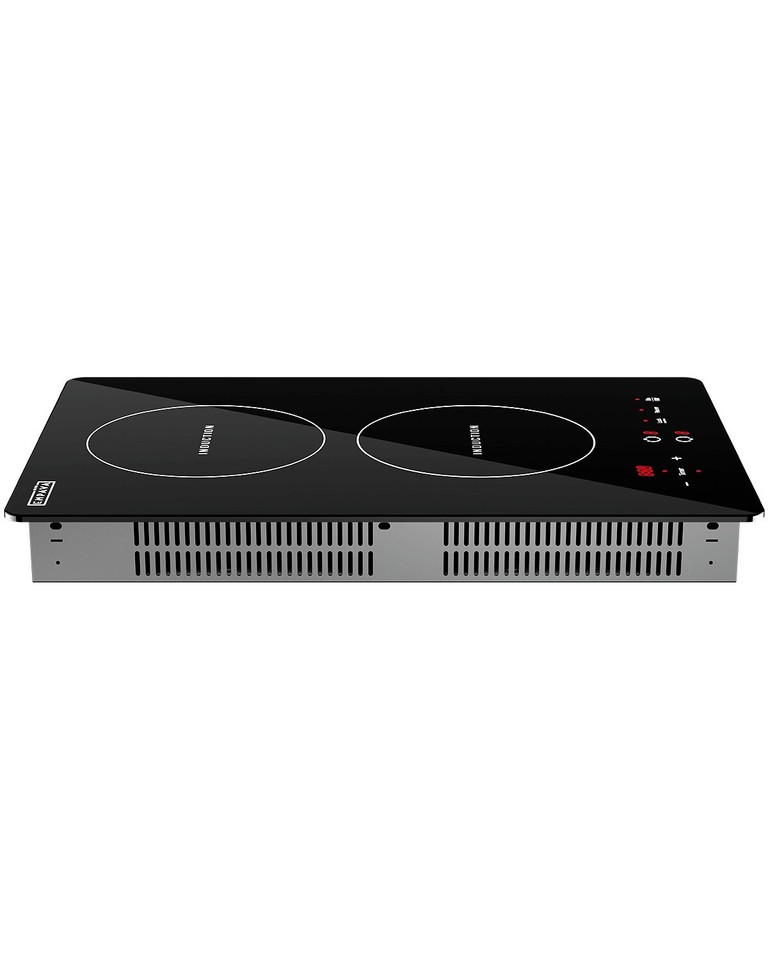 Electric Stove Induction Cooktop Vertical with 2 Burners | eBay